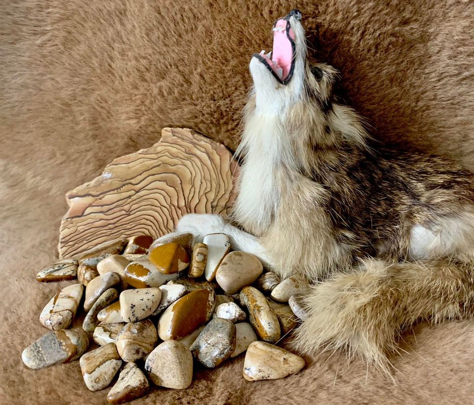 Picture Jasper tumbles – Witch Way Australia