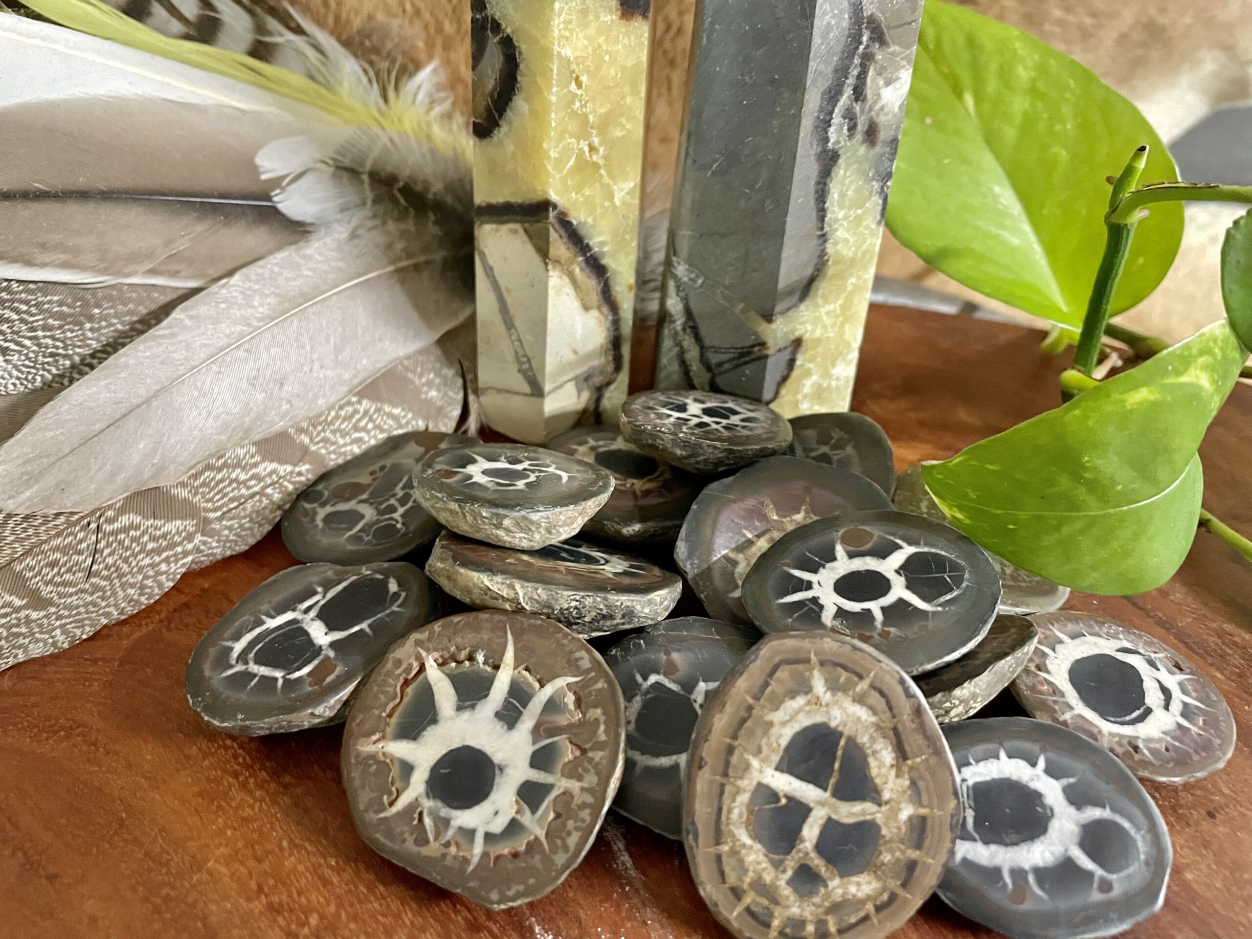 Septarian Nodules – Witch Way Australia
