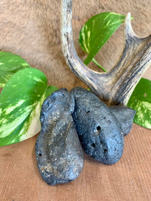 Fossilised Whale Ear Bone – Witch Way Australia