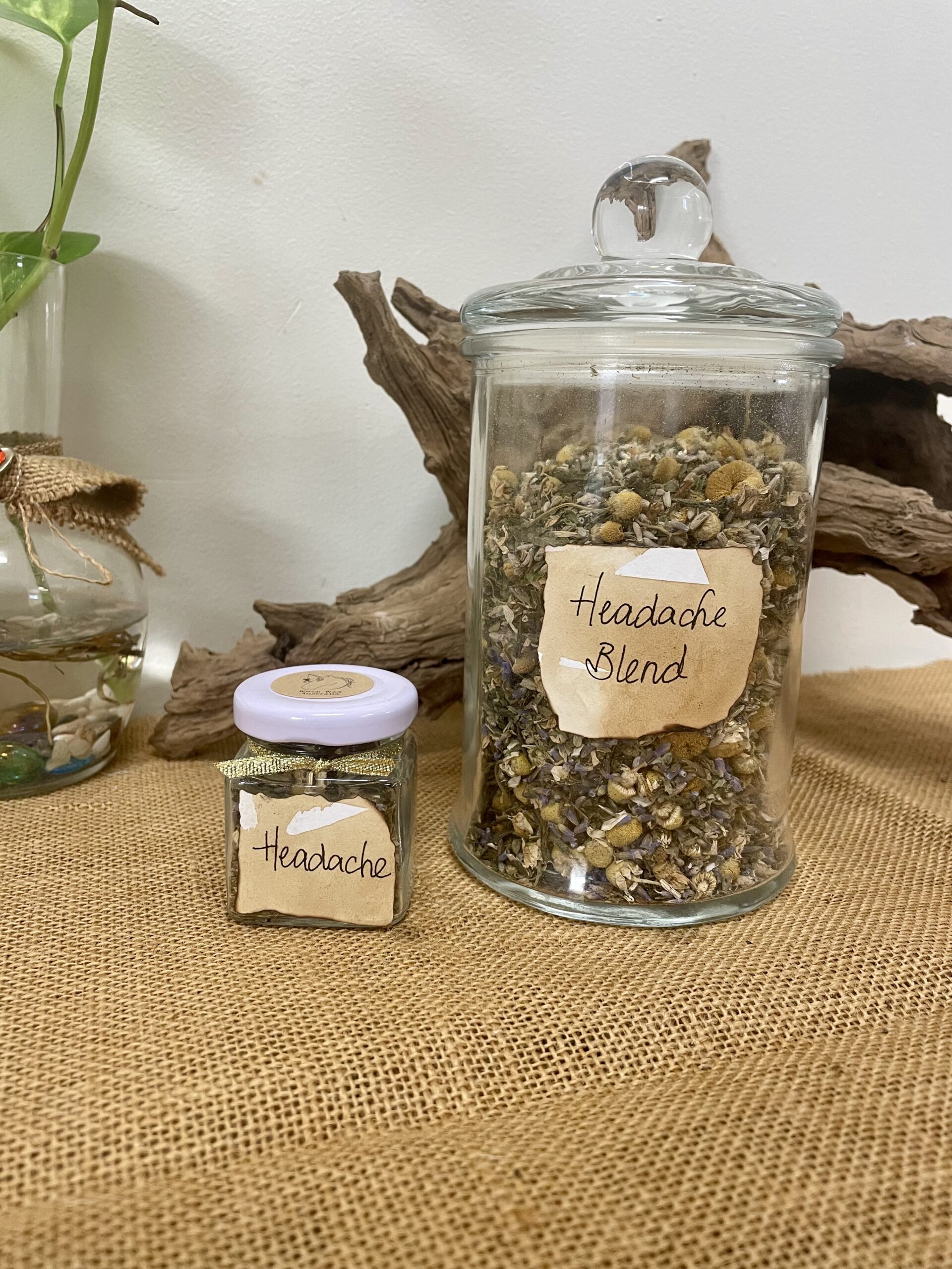 Headache Tea Blend – Witch Way Australia