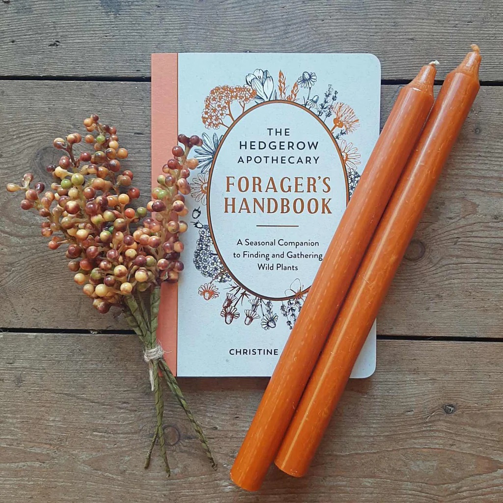 The Hedgerow Apothecary Forager's Handbook: A Seasonal Companion to ...