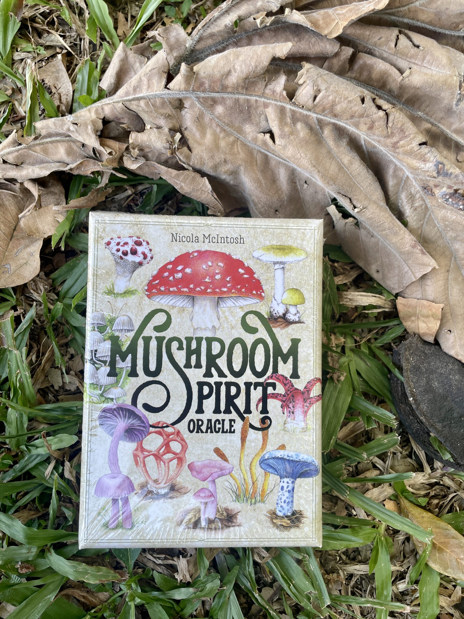 Mushroom Spirit Oracle by Nicola McIntosh - Witch Way Australia