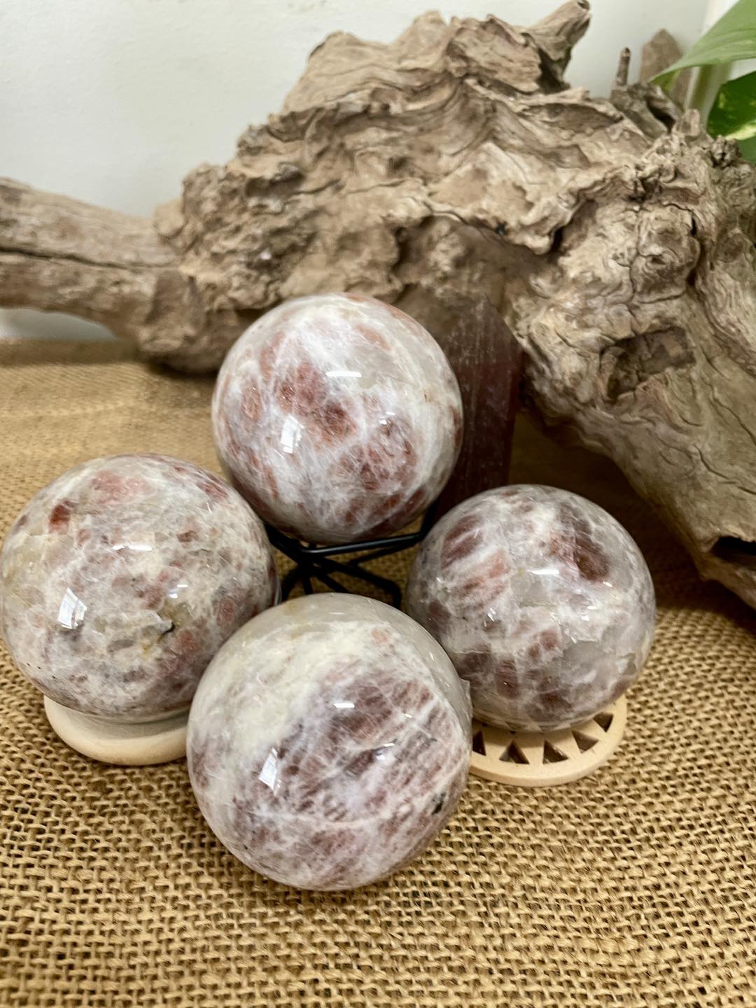 Golden Strawberry Quartz Sphere – Witch Way Australia