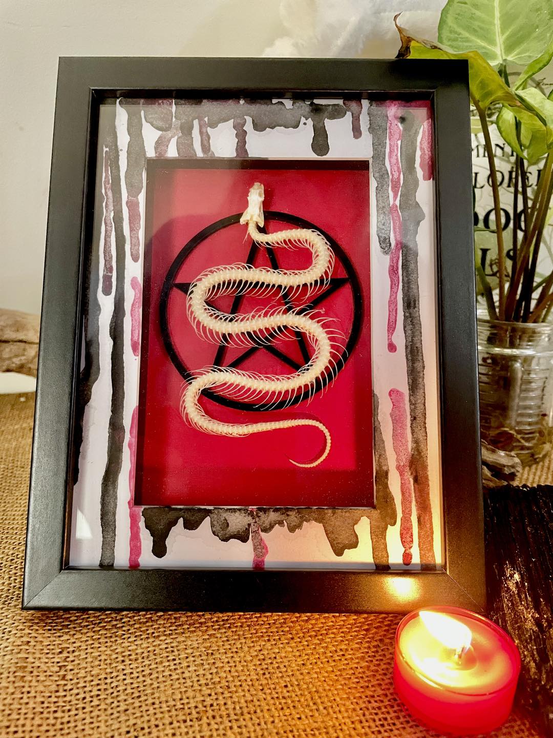 Snake Skeleton Shadow Box – Witch Way Australia