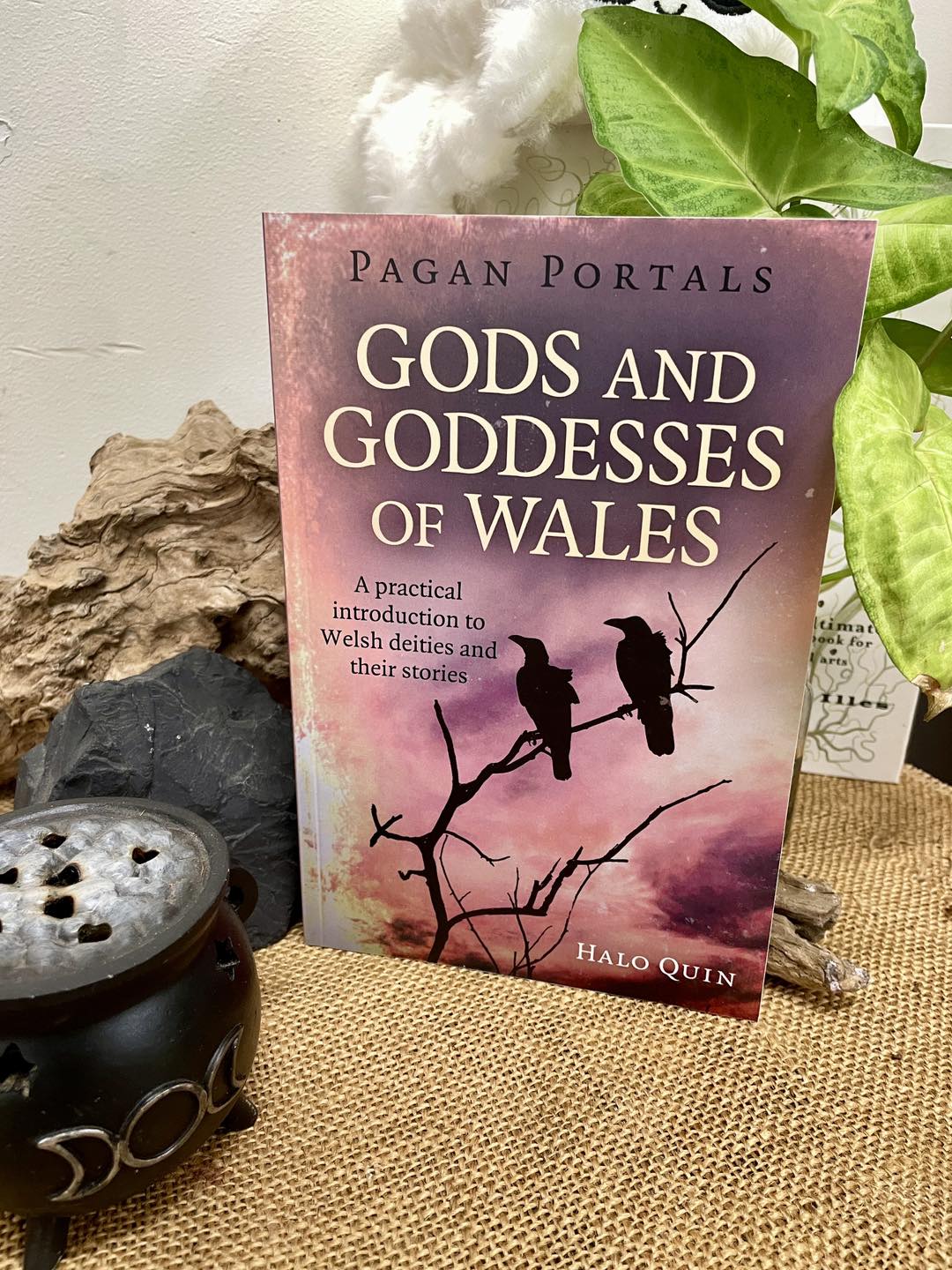 Gods and Goddesses of Wales - Pagan Portals Series - Witch Way Australia
