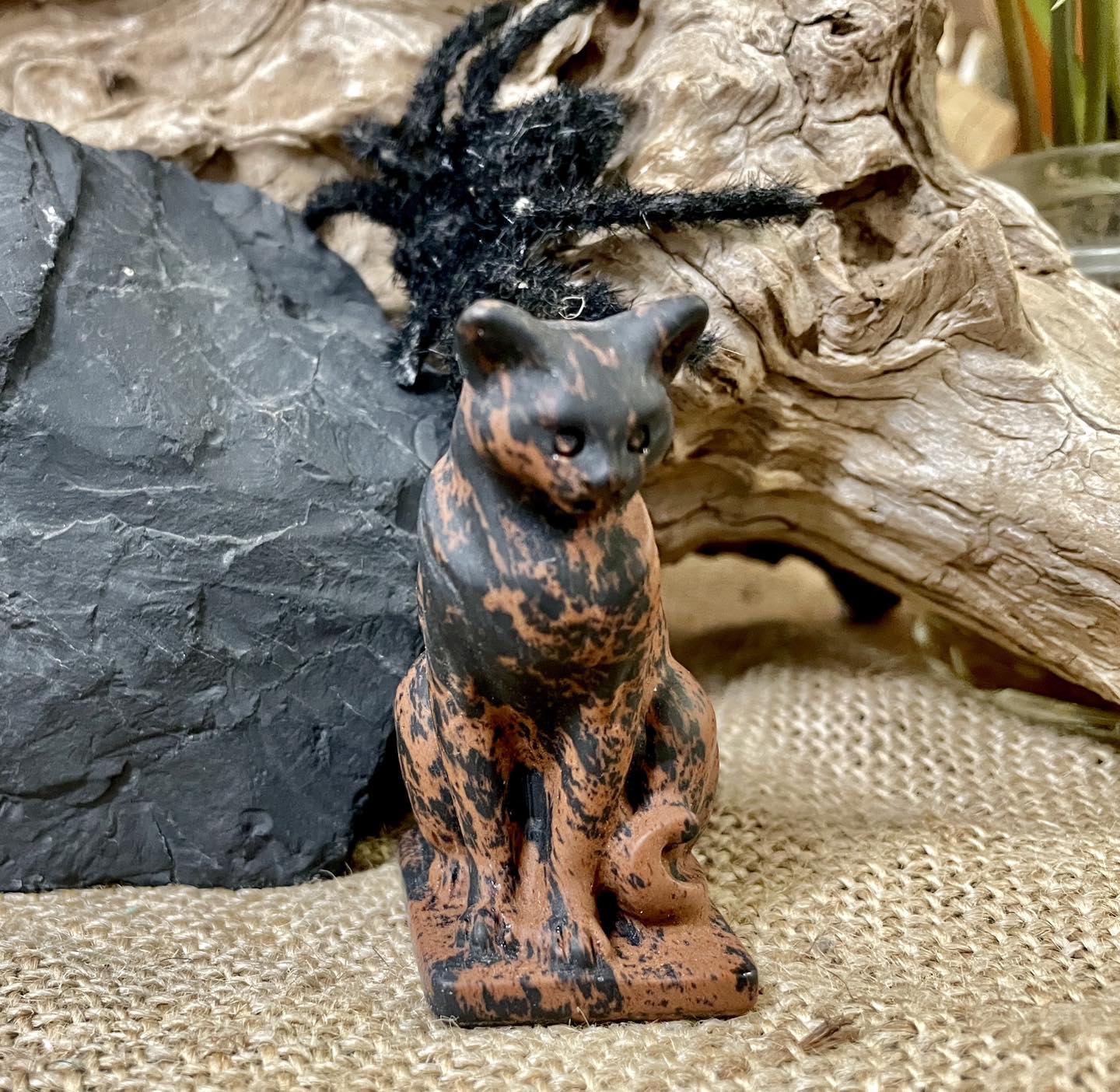 Mahogany Obsidian Cat - Witch Way Australia